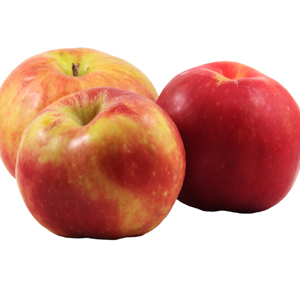 Red Gravenstein Apple