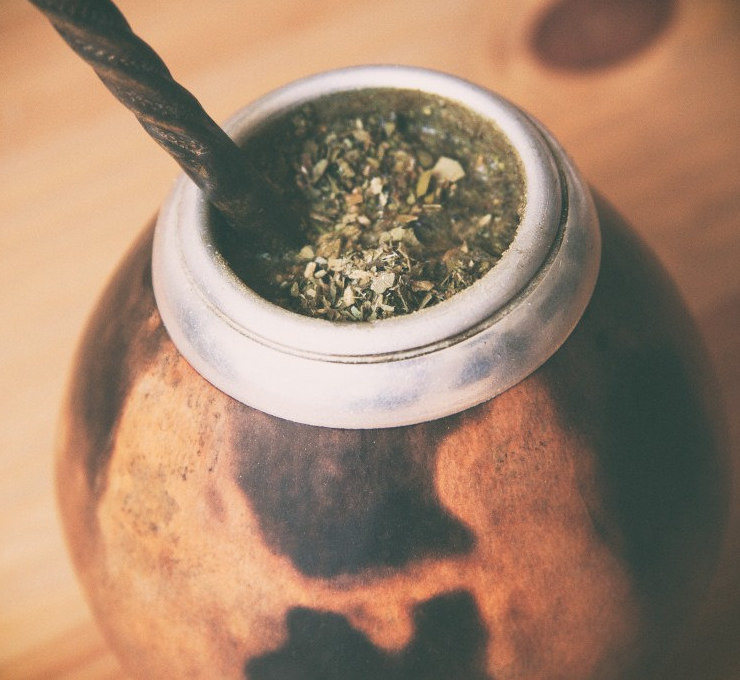 Yerba Mate Evergreen Shrub from One Green World