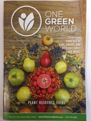 One Green World Catalog - One Green World