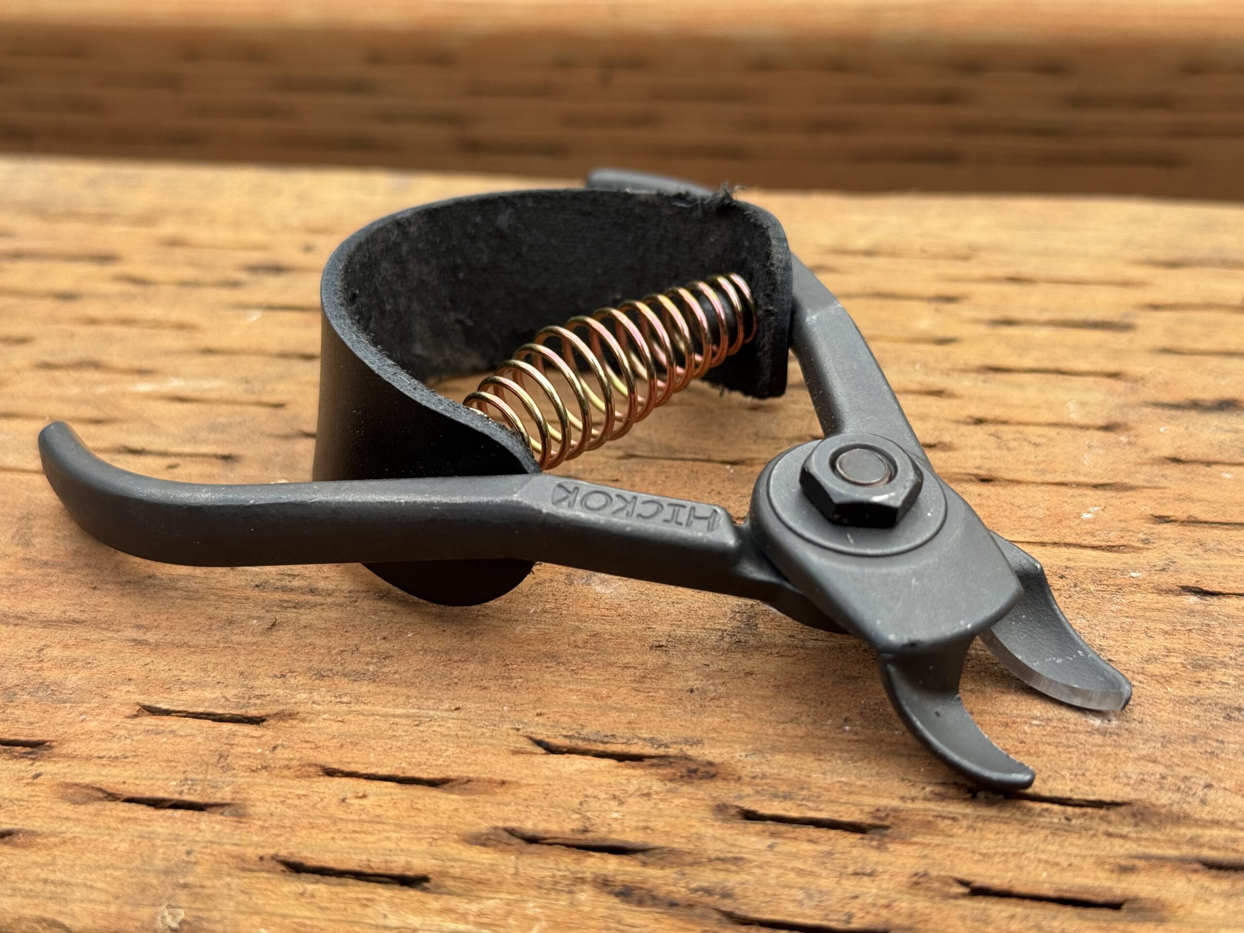 Hickok Fruit Clipper - One Green World