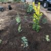 Soil Drainage 101 - One Green World