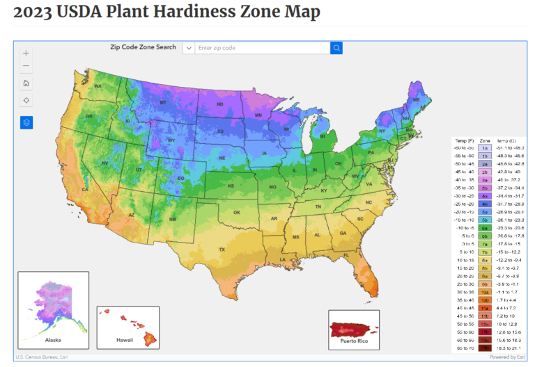 Understanding USDA Cold Hardiness Zones - One Green World