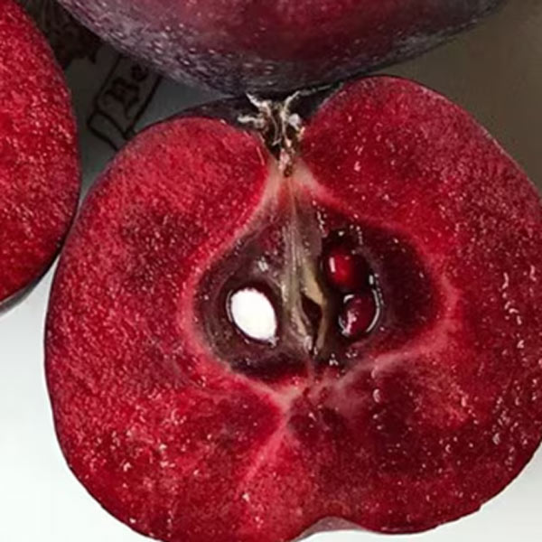 Root Vegetables World Crops Database