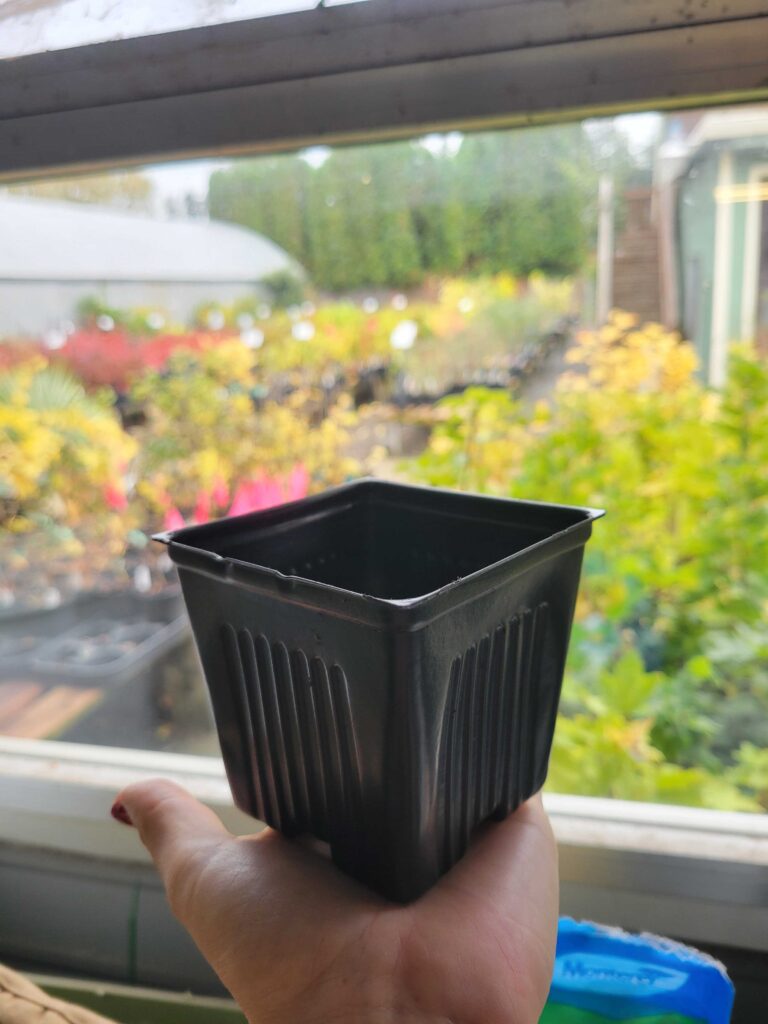 Understanding Container Sizes - One Green World