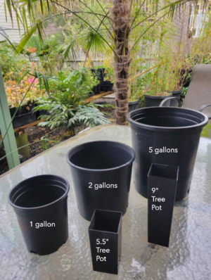 Understanding Container Sizes - One Green World