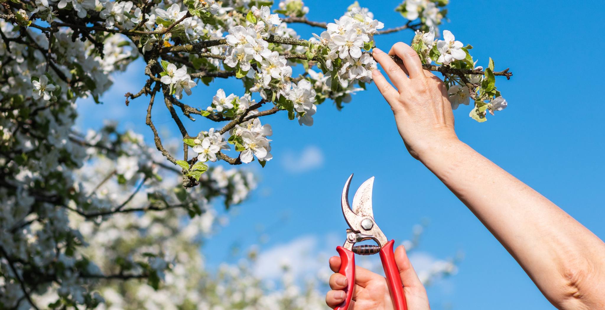 Events at One Green World - One Green World